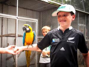 Photo Gallery - Mill Creek Bird & Animal Encounters