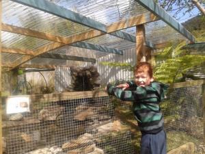 Photo Gallery - Mill Creek Bird & Animal Encounters